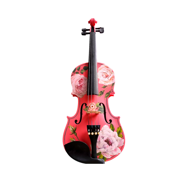 Rozanna's Rose Delight Pink Violin Outfit - New Carbon Bow – Rozanna's ...