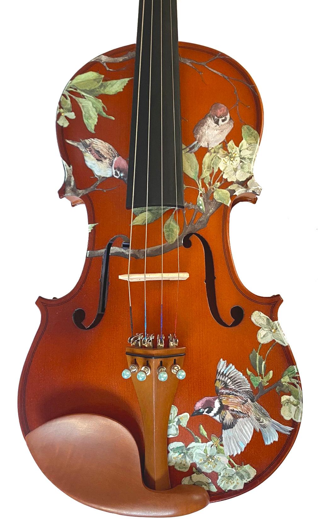 Rozanna's Song Bird Violin Outfit with Case and Bow – Rozanna's Violins